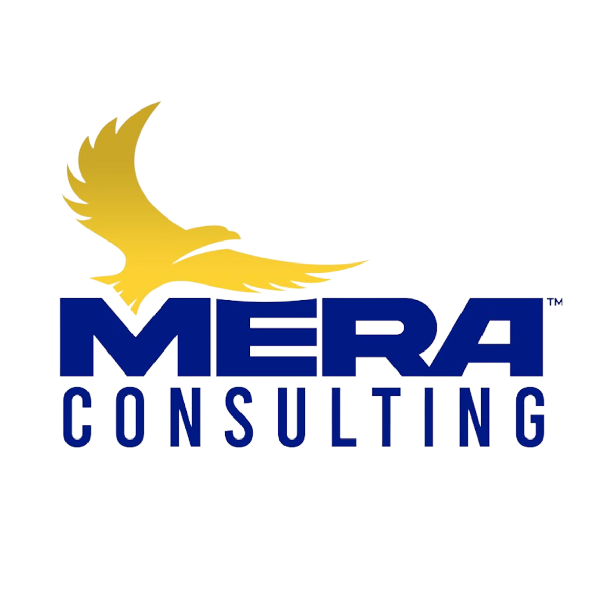 Scheduling - MERA Consulting