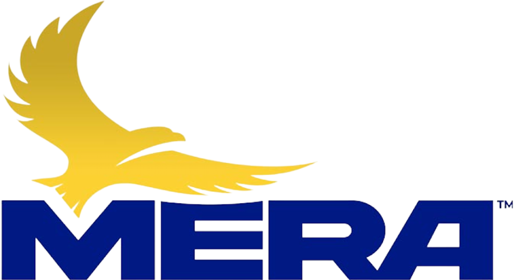 MERA Financial Literacy - MERA Consulting